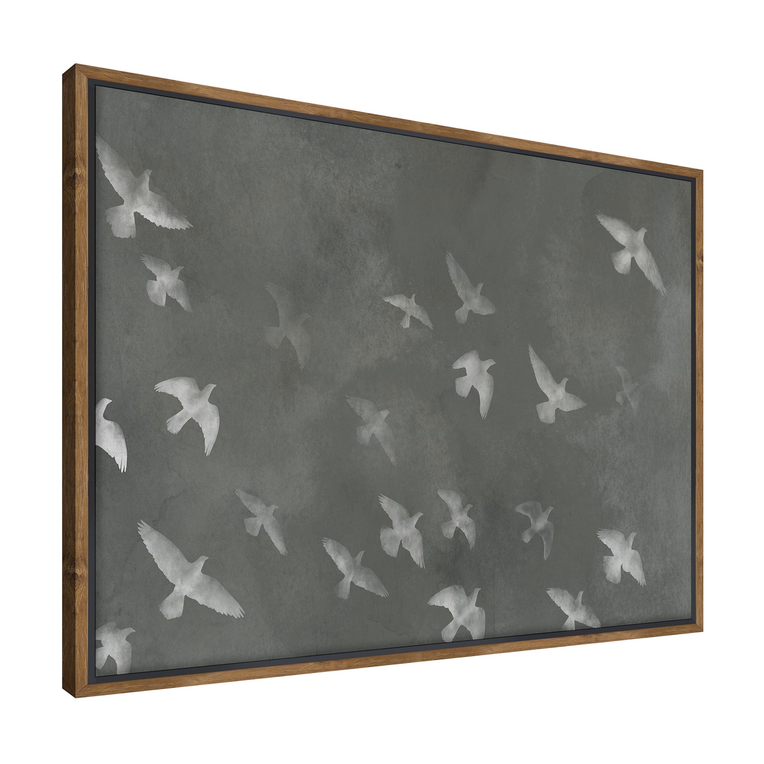 Fly Wall Art – Slumberland