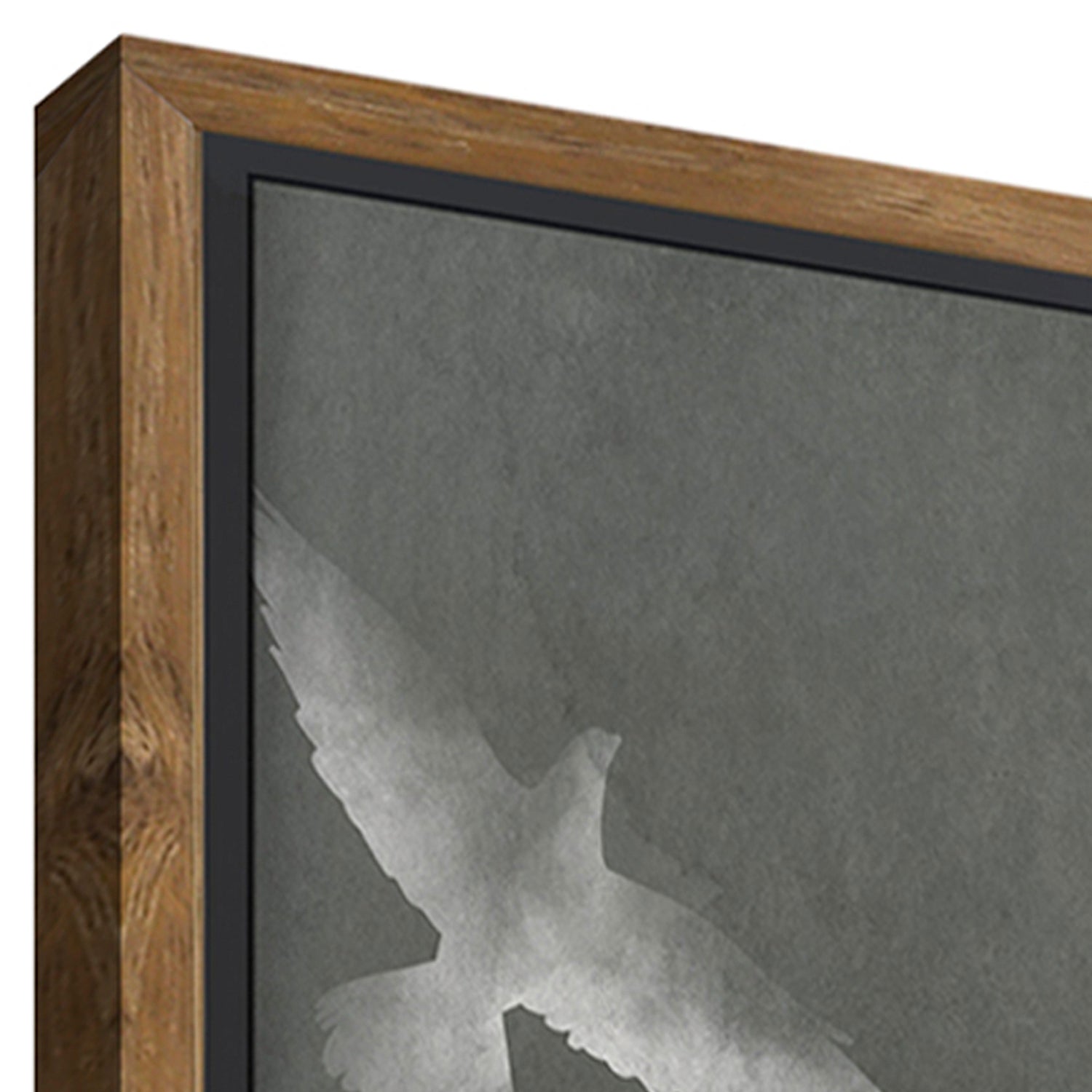 Fly Wall Art – Slumberland