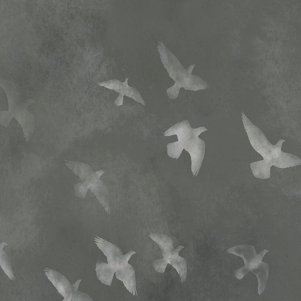 Fly Wall Art – Slumberland