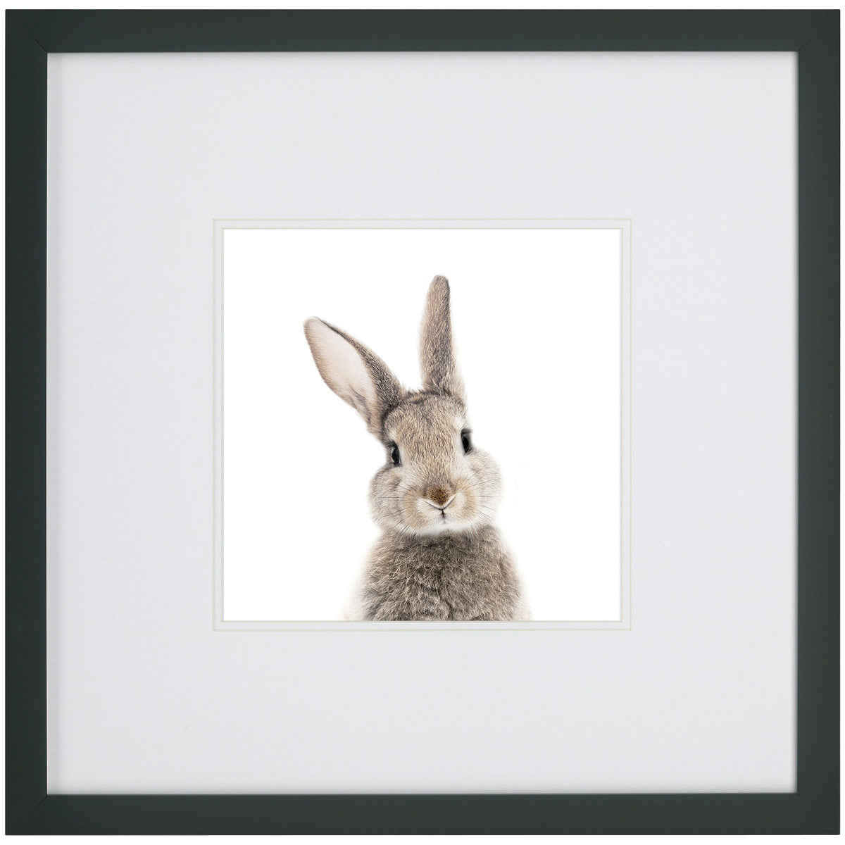 Kids Rabbit Face Wall Art – Slumberland